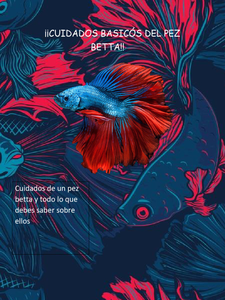 Cuidados básicos del pez betta | PDF