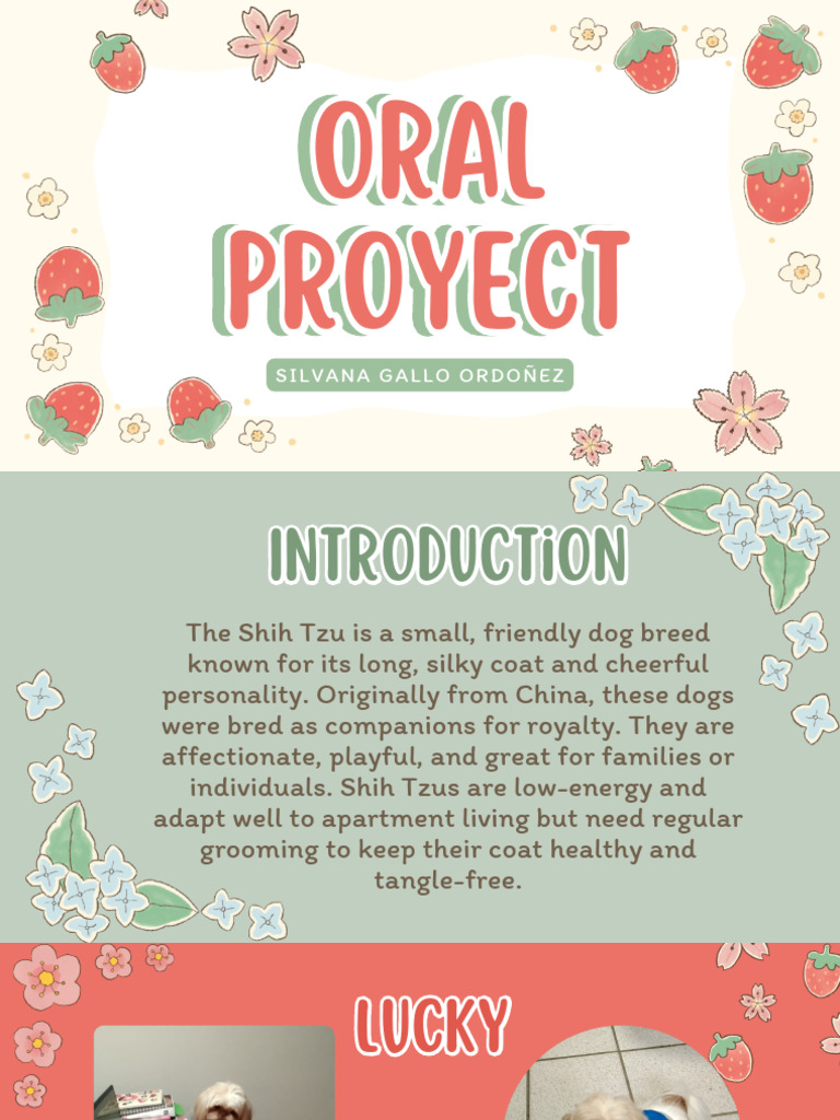 Oral Proyect | PDF