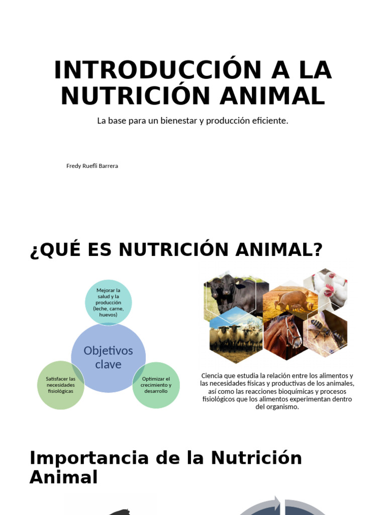 Introducción A La Nutrición Animal | PDF | Nutrición | Dieta y nutrición