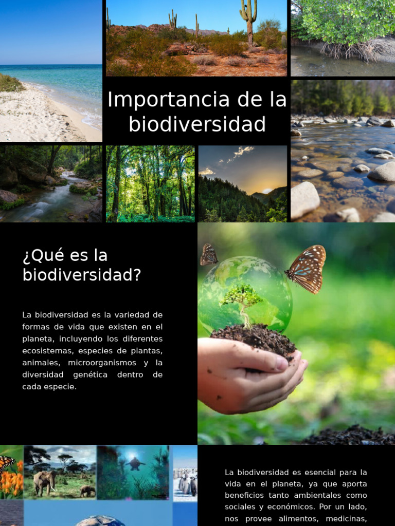 Presentación Para Explicación de Los Ecosistemas de México Con Imágenes Estilo Fotográfico ...
