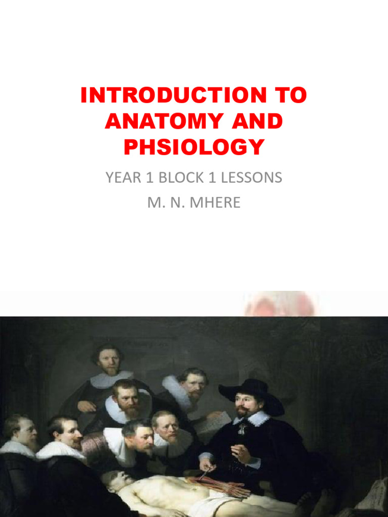 Introduction to Human Body | PDF | Homeostasis | Human Body