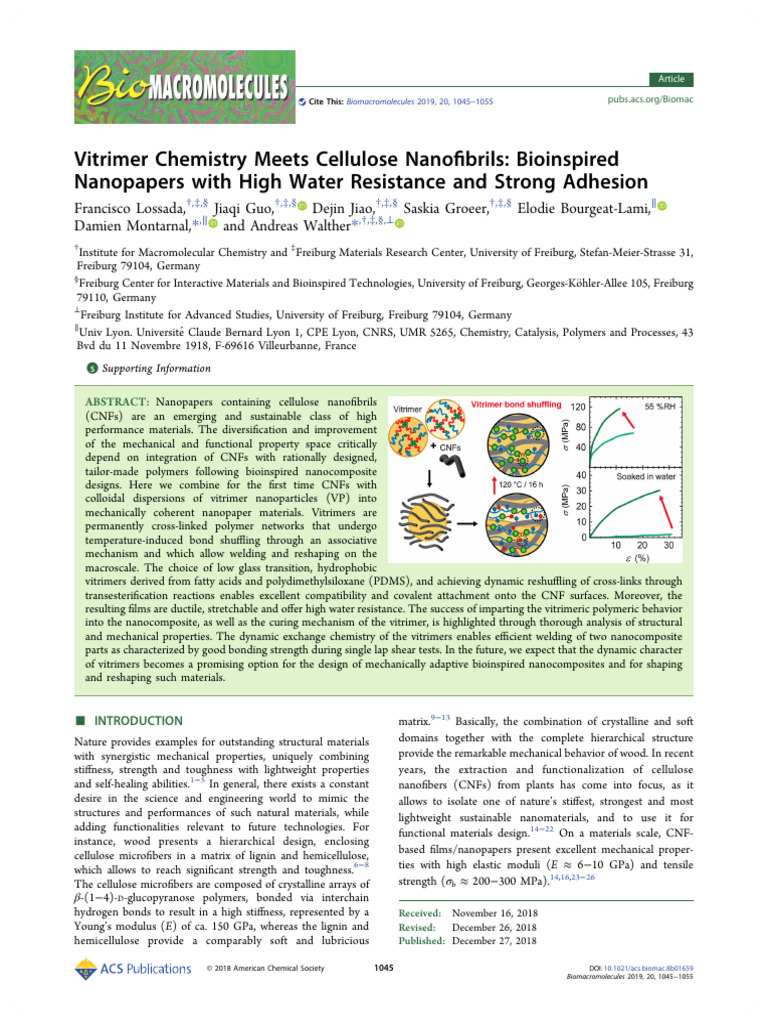 Vitrimer Chemistry Meets Cellulose Nanofibrils Bioinspired Nanopapers ...