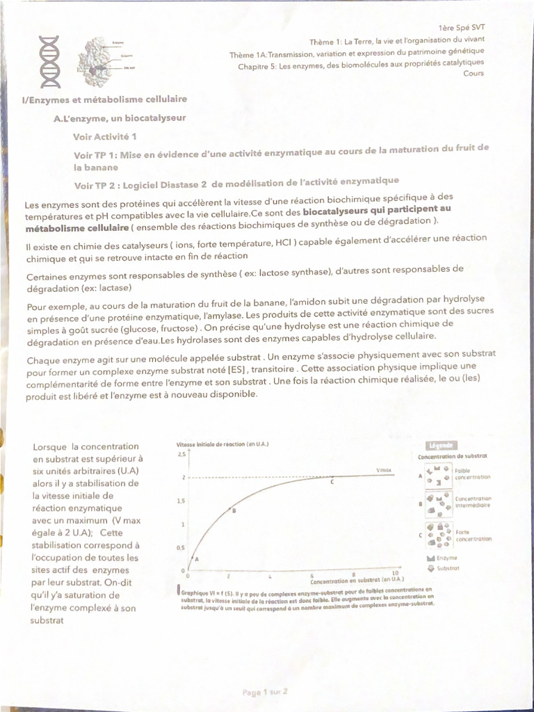 1ère Spé SVT | PDF