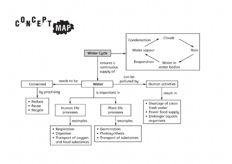 Primary Science Concept Map - Water Cycle | PDF