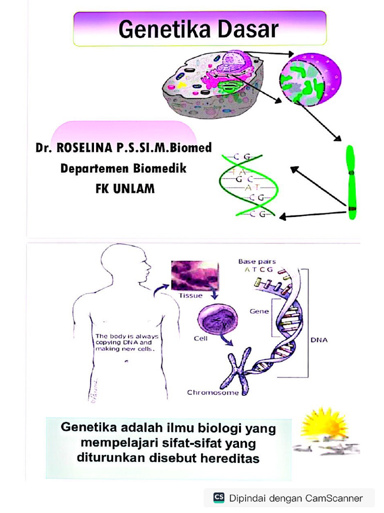 Genetika | PDF