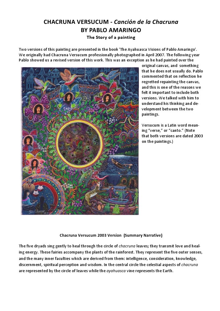 The Evolution of The Painting 'Chacruna Versucum (Canción de La ...