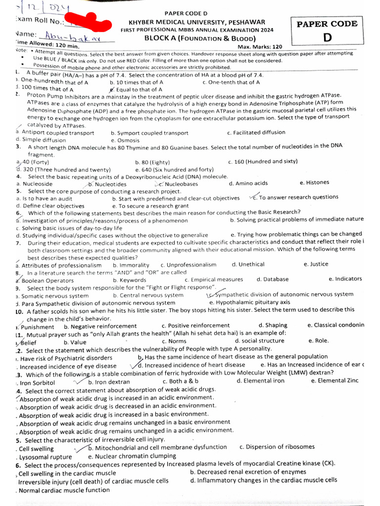 KMU-PROF PAPER A 2024 | PDF