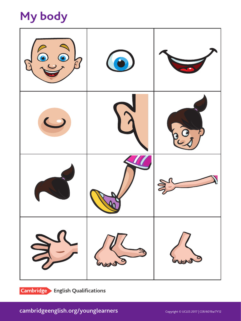 Pre A1 Adapted Body Animals | PDF