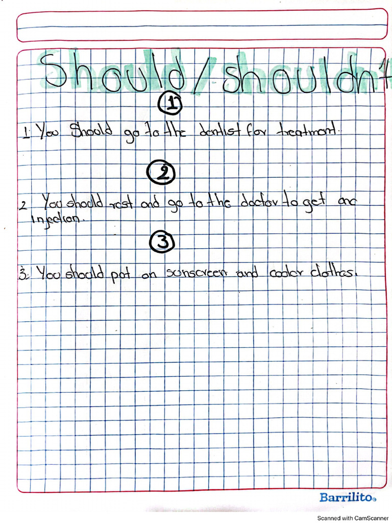 Exercise Should. Shouldn't | PDF