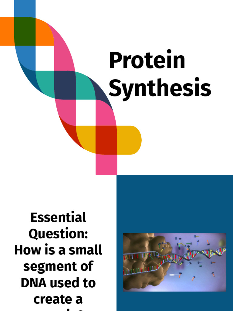 Protein Synthesis Lecture | PDF | Rna | Translation (Biology)