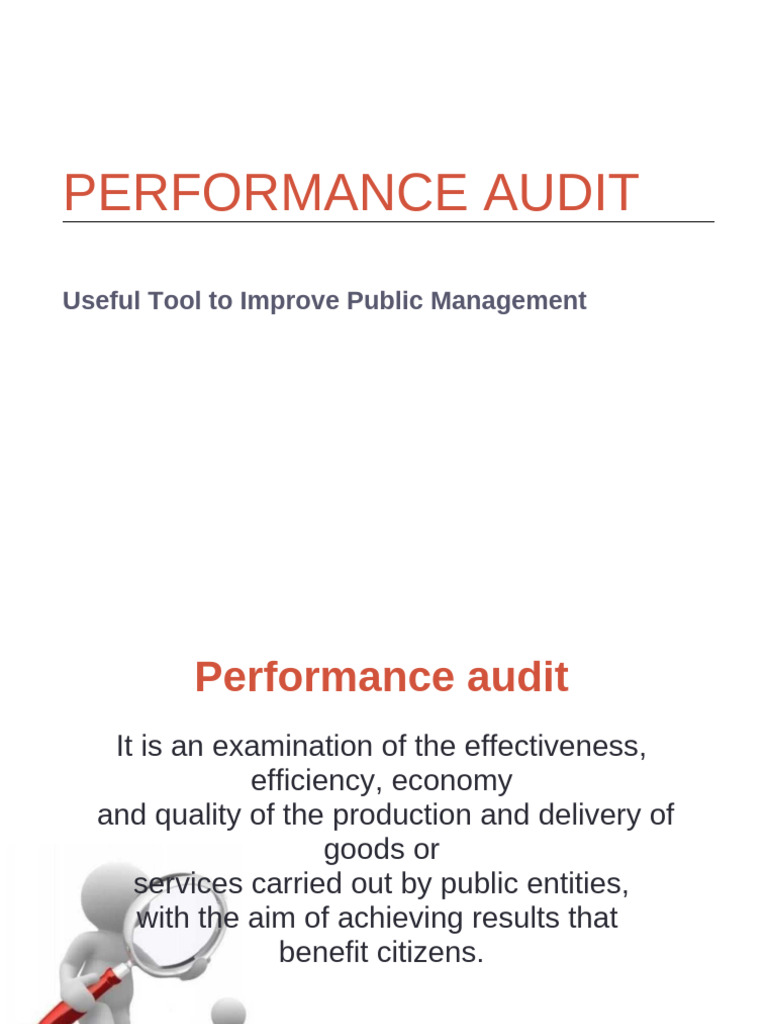 Performance Audit | PDF | Audit | Business