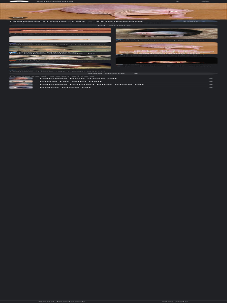 Ugly Rat - Google Search | PDF