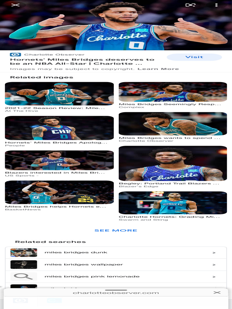 Miles Bridges - Google Search | PDF
