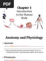 Introduction To Human Physiology | PDF | Human Body | Homeostasis