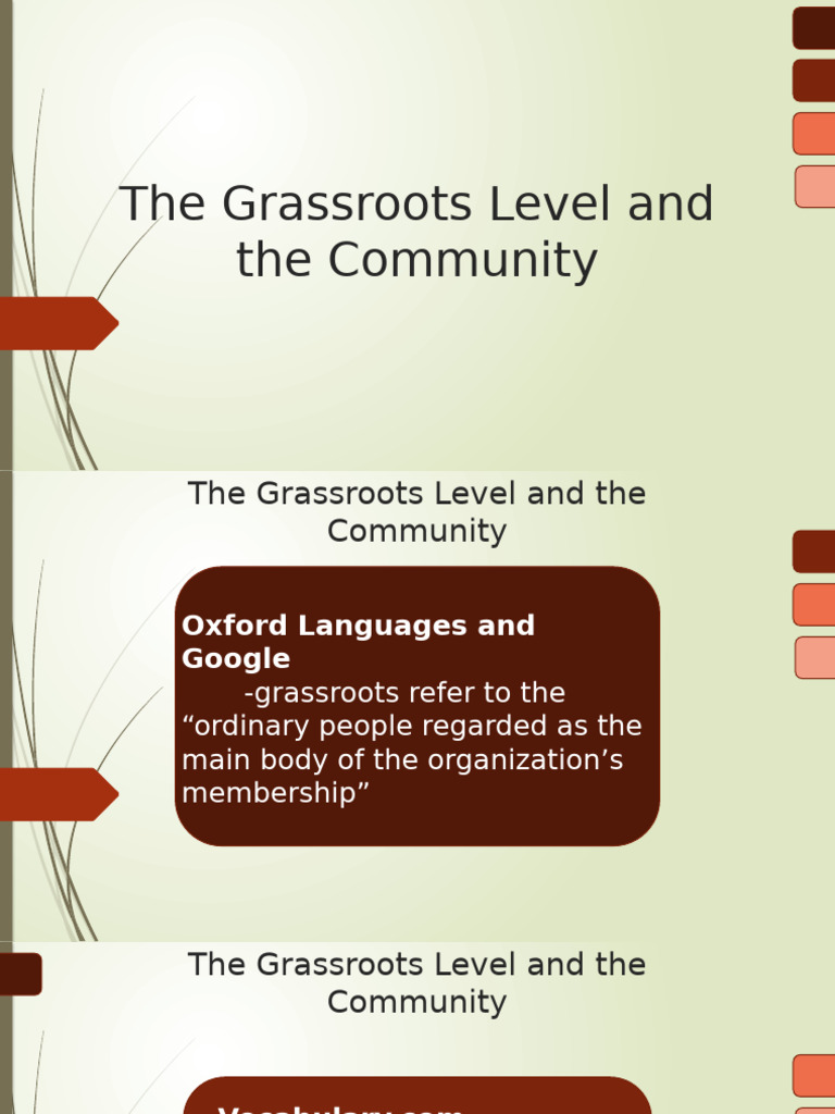 The Grassroots Level and The Community | PDF