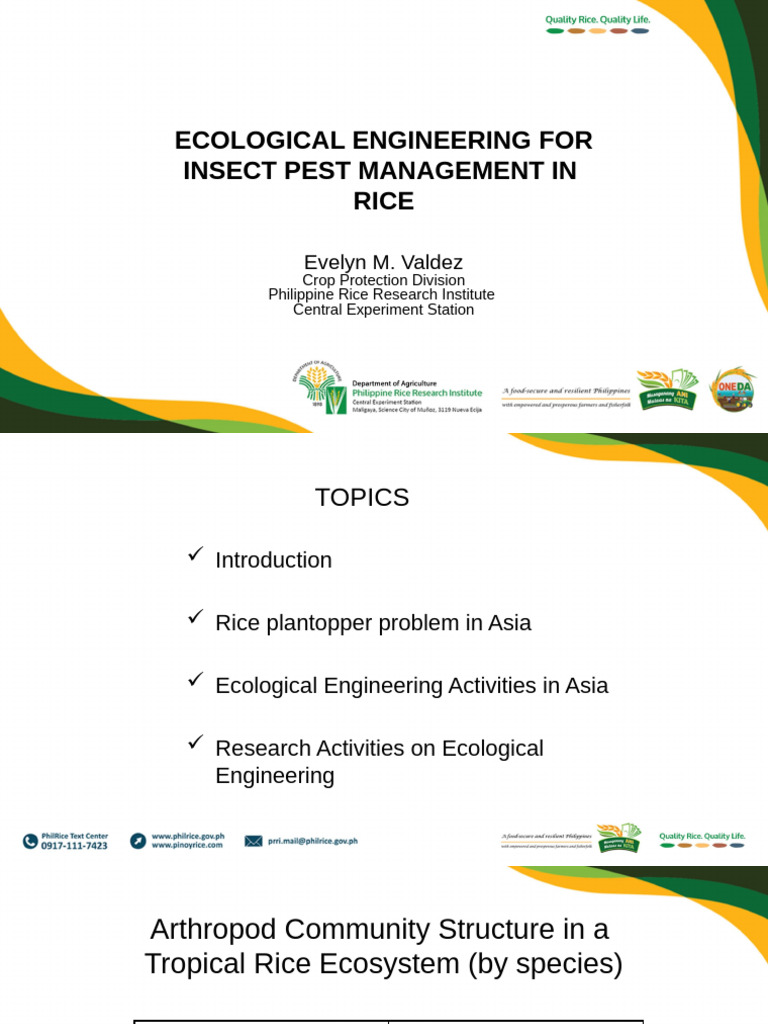Ecological Engineering | PDF | Biological Pest Control | Rice