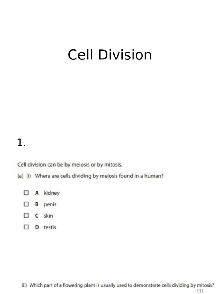 Cell Division (Genetic) | PDF
