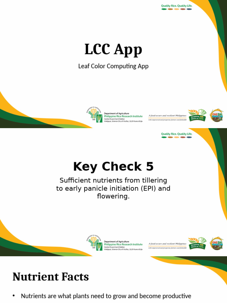 PhilRice Leaf Color Computing App | PDF | Plant Nutrition | Fertilizer