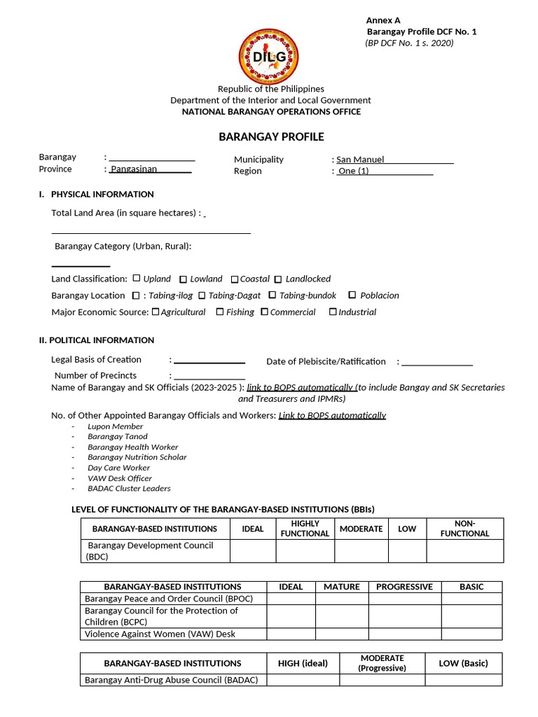 Barangay-Profile-2025-UPDATED | PDF