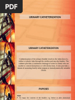 Catheter Flush & Bladder Washout Guide | PDF | Catheter | Urinary Bladder