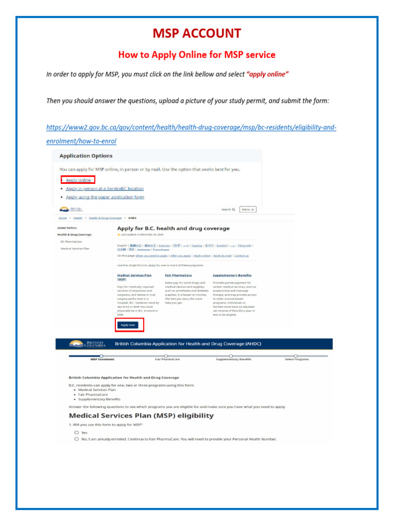 MSP Guide - How To Apply Online | PDF | Payments