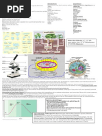 Science Olympiad: Forensics Note Sheet | PDF | Fingerprint | Gel ...
