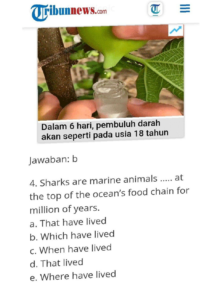 Image To PDF 20250130 08.10.59 | PDF