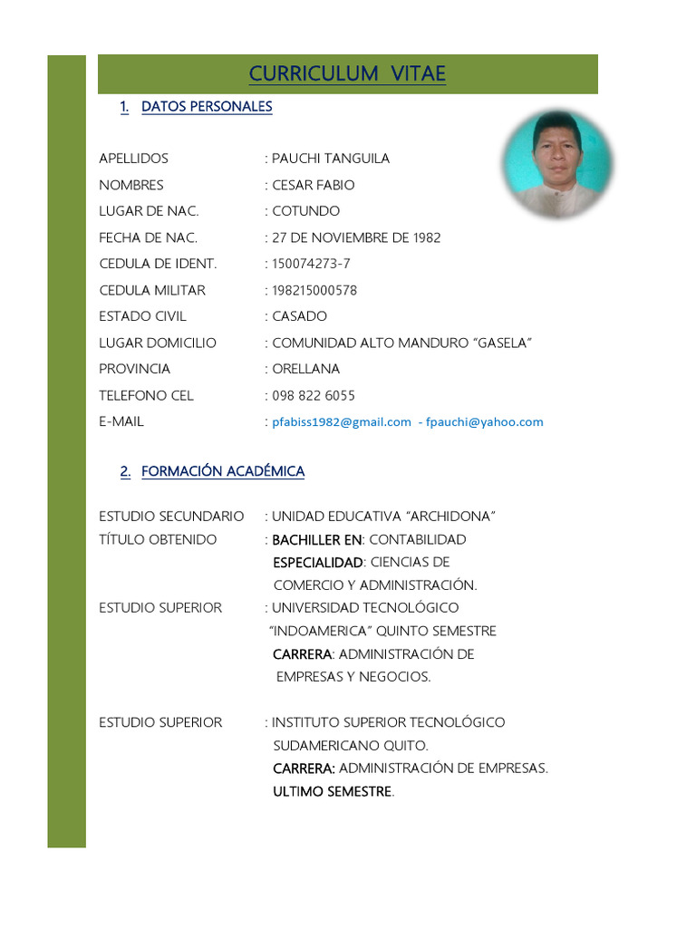 CURRICULUM VITAE Fabio Pauchi AP | PDF | Microsoft | Informática