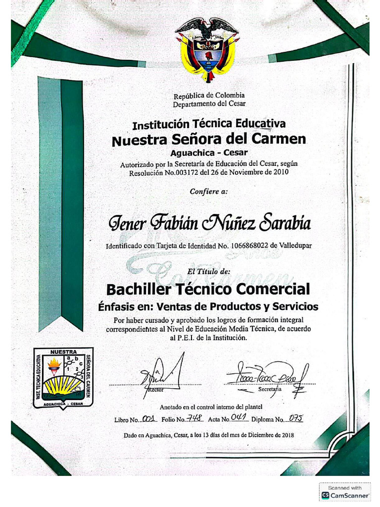 CamScanner 21-12-2024 23.37 (1) - Comprimido | PDF