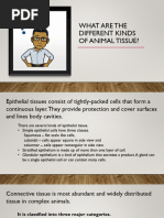 Animal Tissue Grade 10 Term 3 Notes Summaries | PDF