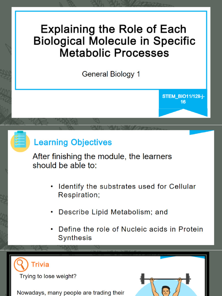 Biological Molecules and Enzymes Lecture | PDF