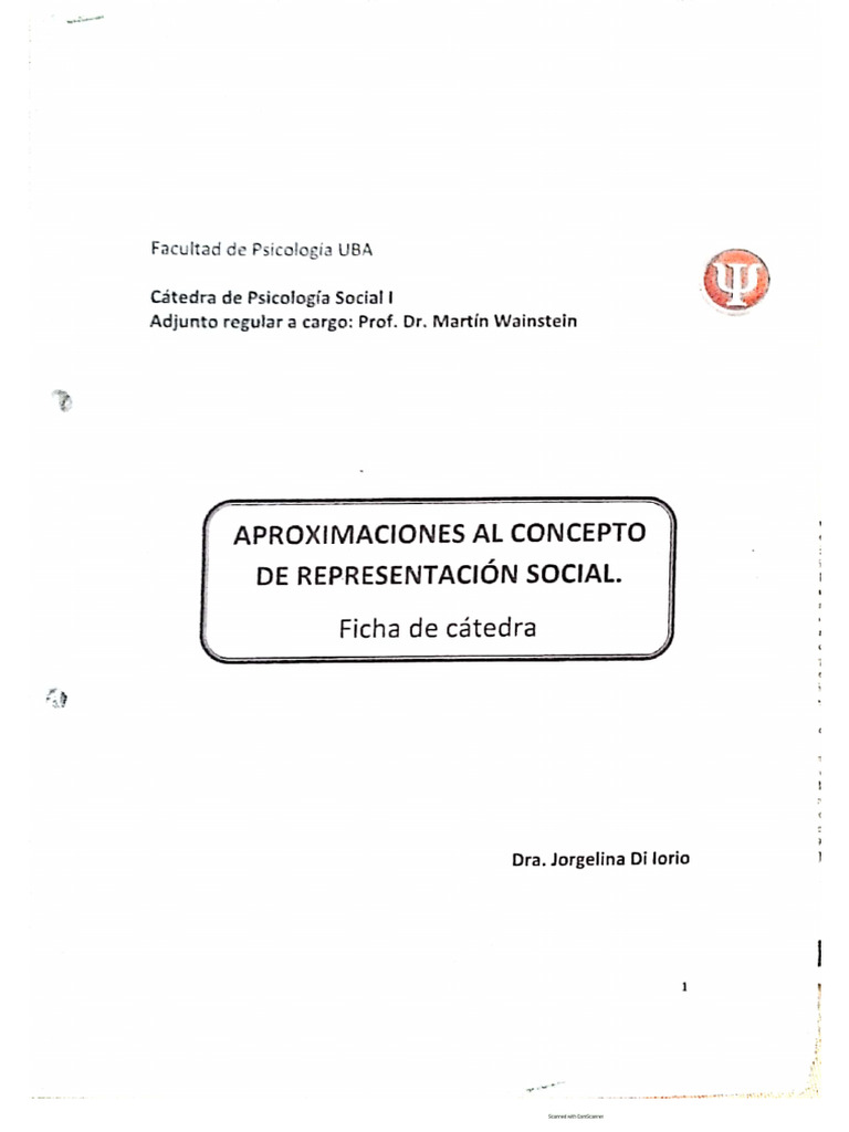 Representación Social Di Iorio | PDF
