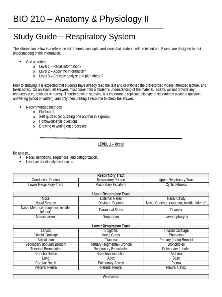Respiratory System Study Guide | PDF | Respiratory Tract | Lung