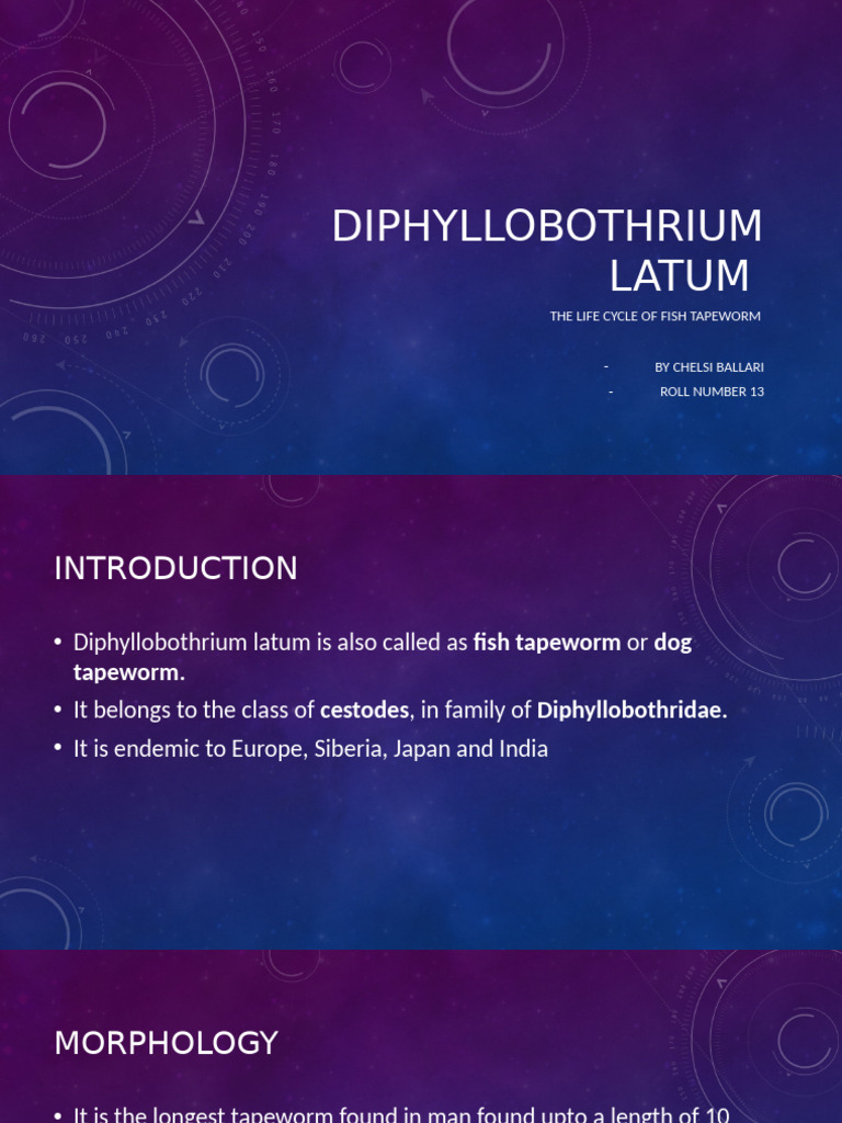 Diphyllobothrium Latum | PDF