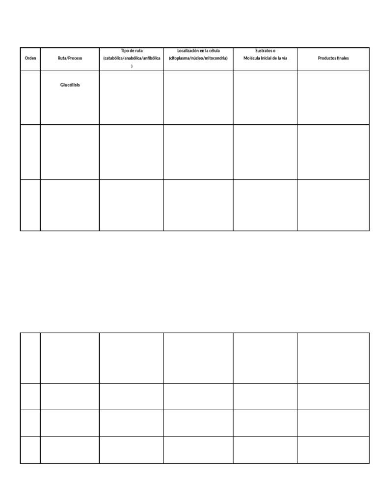 Tabla Resumen de Rutas Metab-licas.docx | PDF