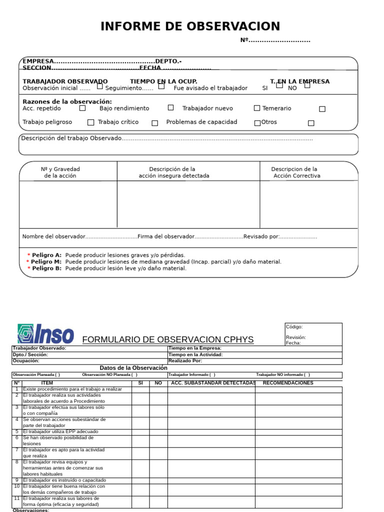 Formulario de Observación CPHYS | PDF