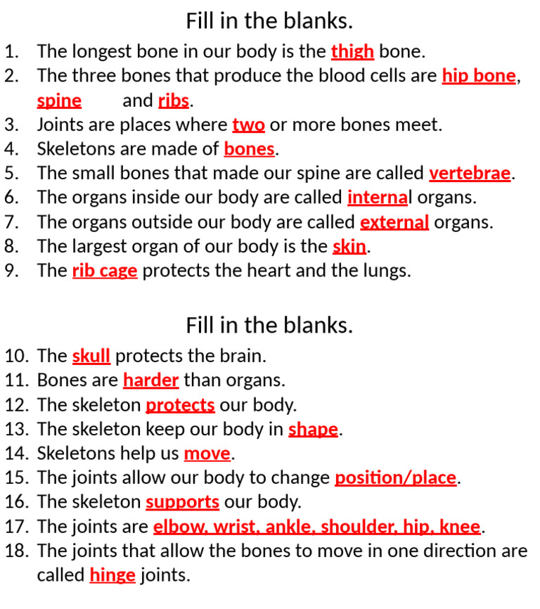 Human Skeleton and Bone Functions | PDF