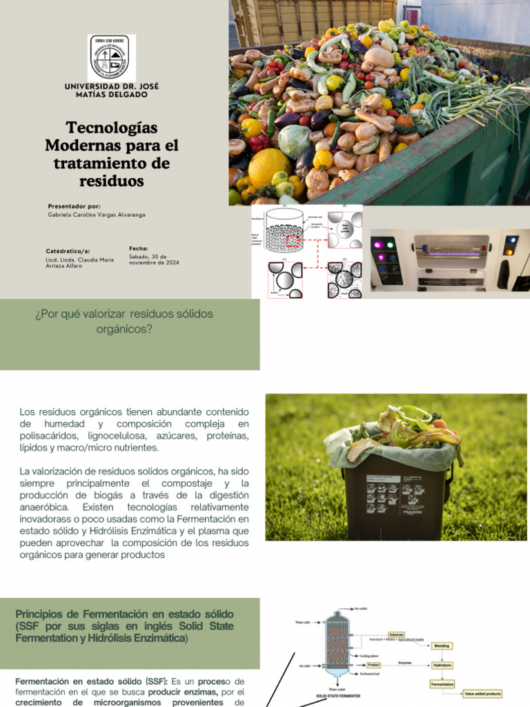 Gaby v. Tecnologías Modernas GRS | PDF