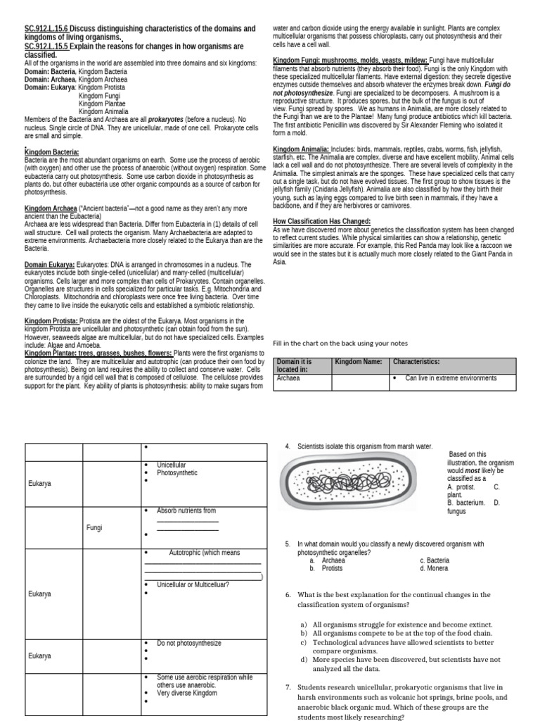 Classification Review Sheet | PDF | Cell (Biology) | Eukaryotes