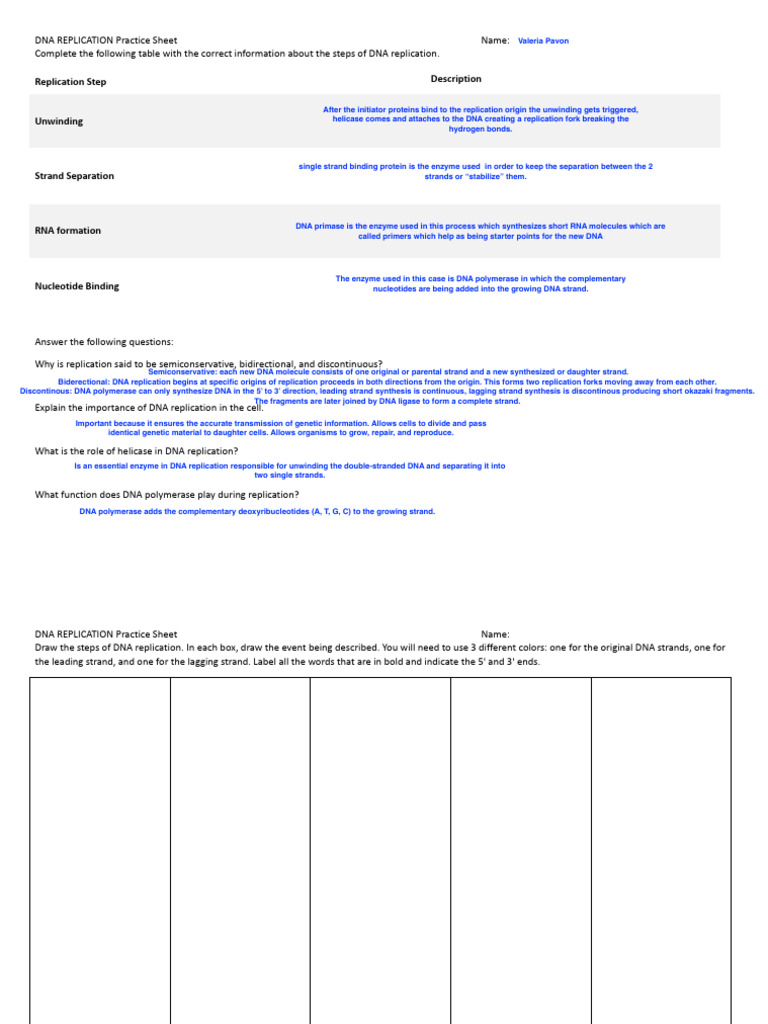REPLICATION worksheet | PDF | Dna Replication | Dna