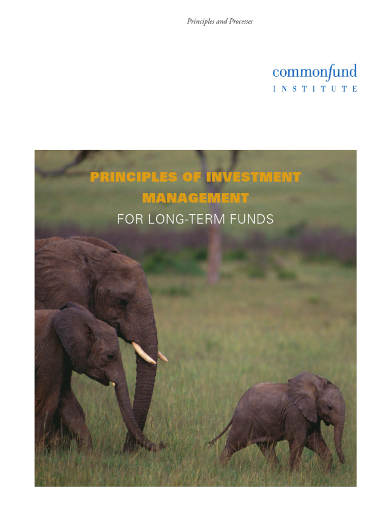 Long-Term Fund Investment Principles | PDF | Investing | Pension