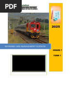 Ems Grade 7 Term 3 Entrepreneurs Day Project Guide | PDF | Expense ...