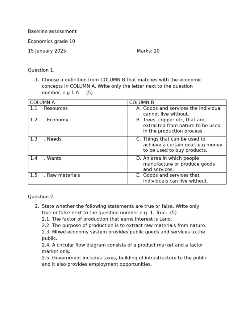 Grade 10 Economics Baseline Assessment | PDF