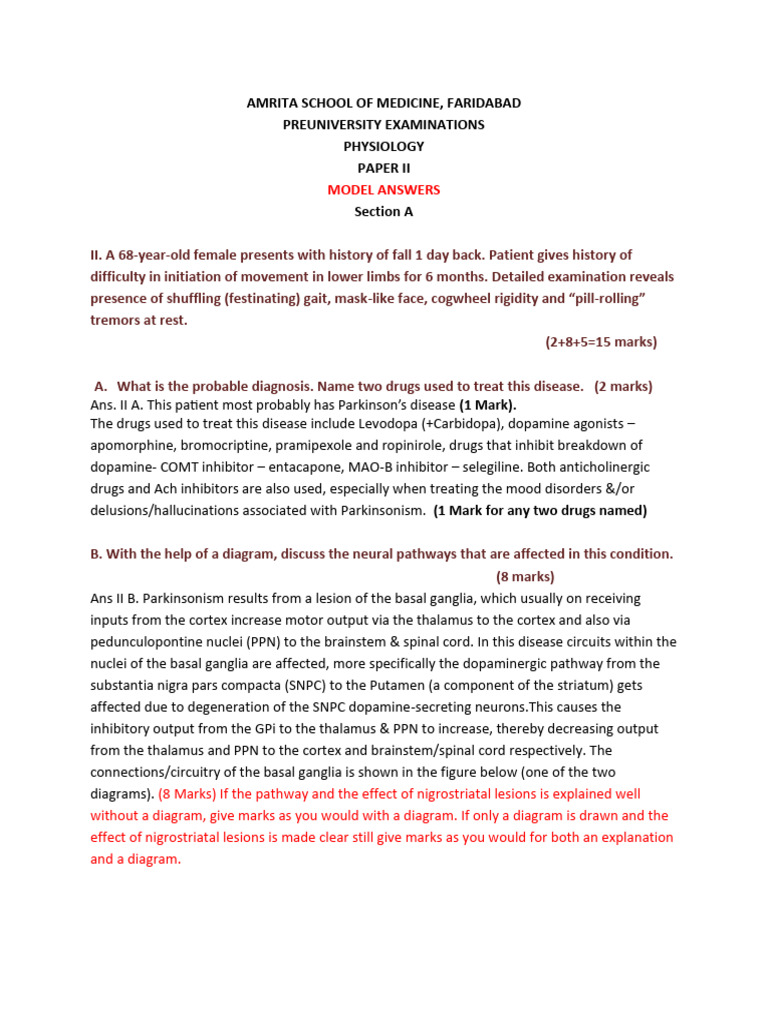 Physiology Exam Model Answers | PDF | Acetylcholine | Basal Ganglia