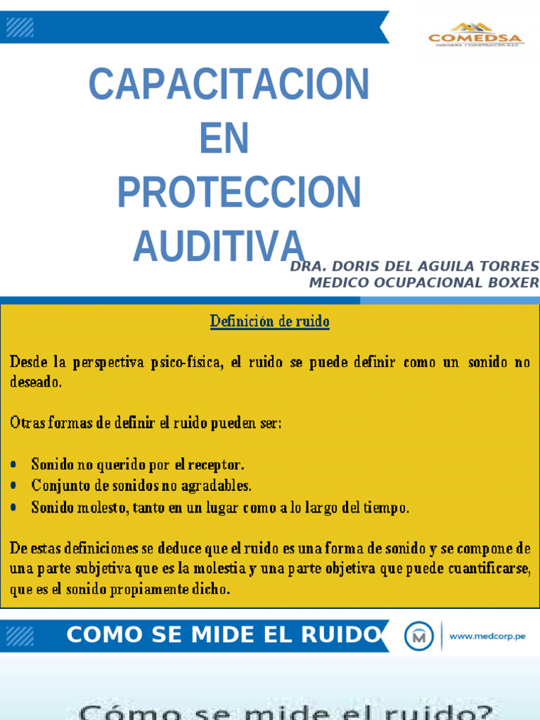 Capacitación En Protección Auditiva Pdf