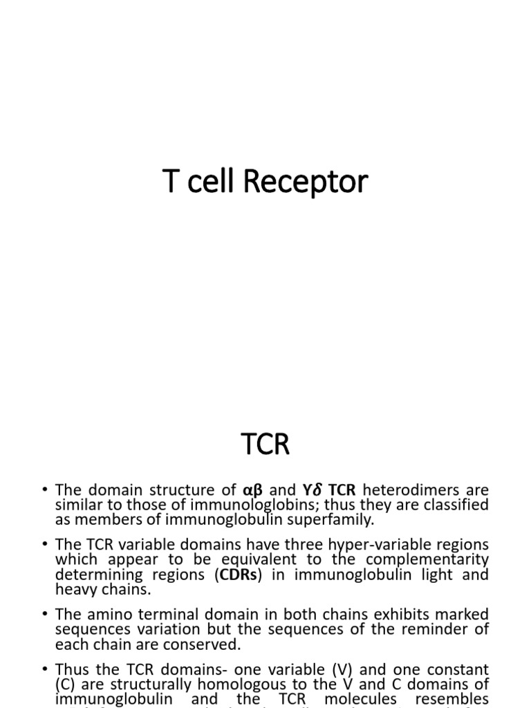 Tcr | PDF | Antibody | Signal Transduction
