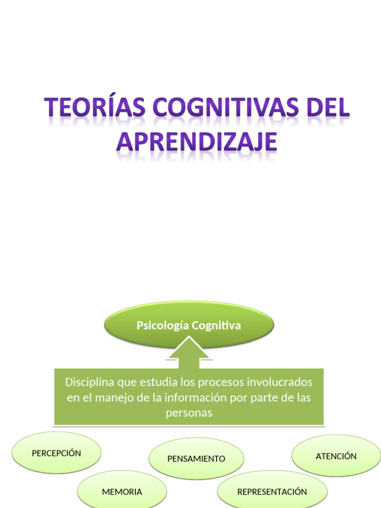 Teorias Del Aprendizaje | PDF | Aprendizaje | Esquema (psicología)