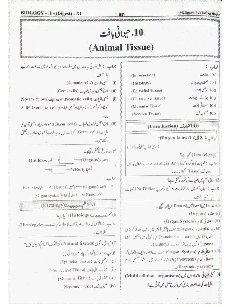 Animal Tissue | PDF