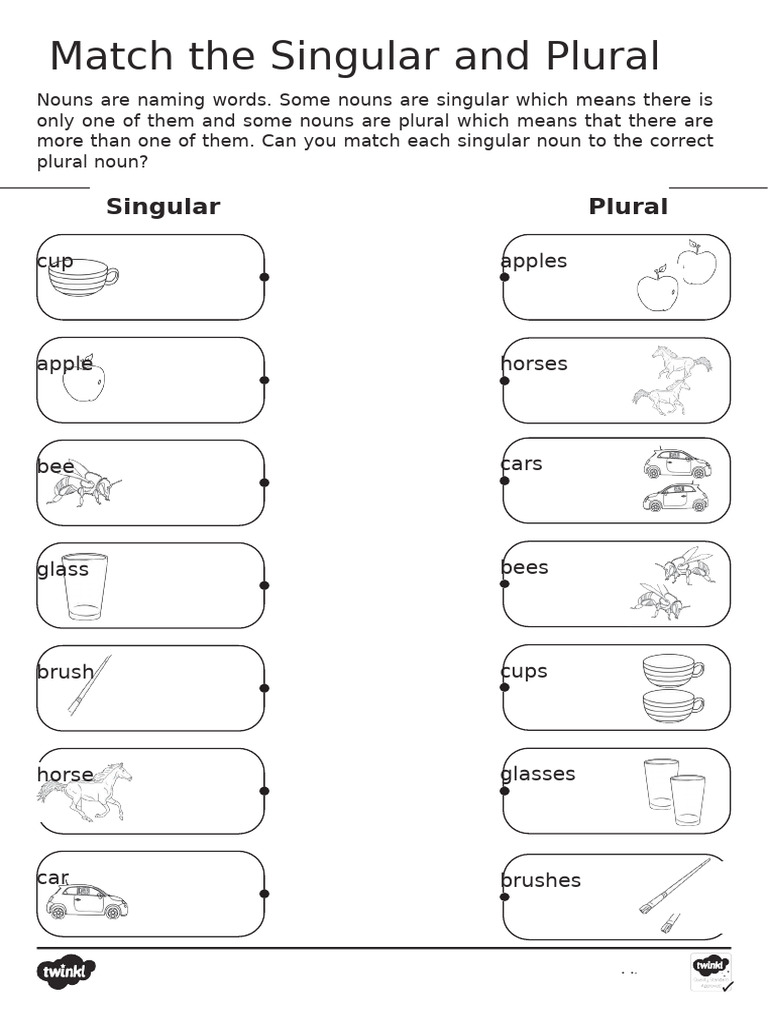 T e 1644318380 Singular and Plural Matching Activity - Ver - 1 | PDF