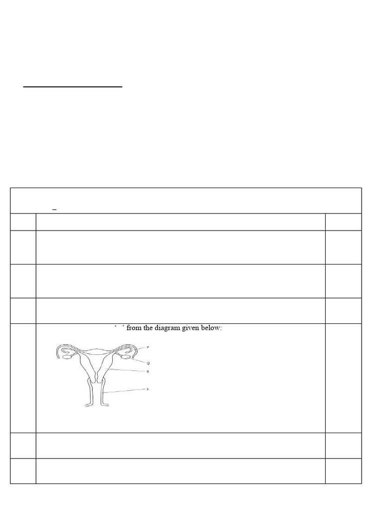 3 Model Question Paper-1 | PDF